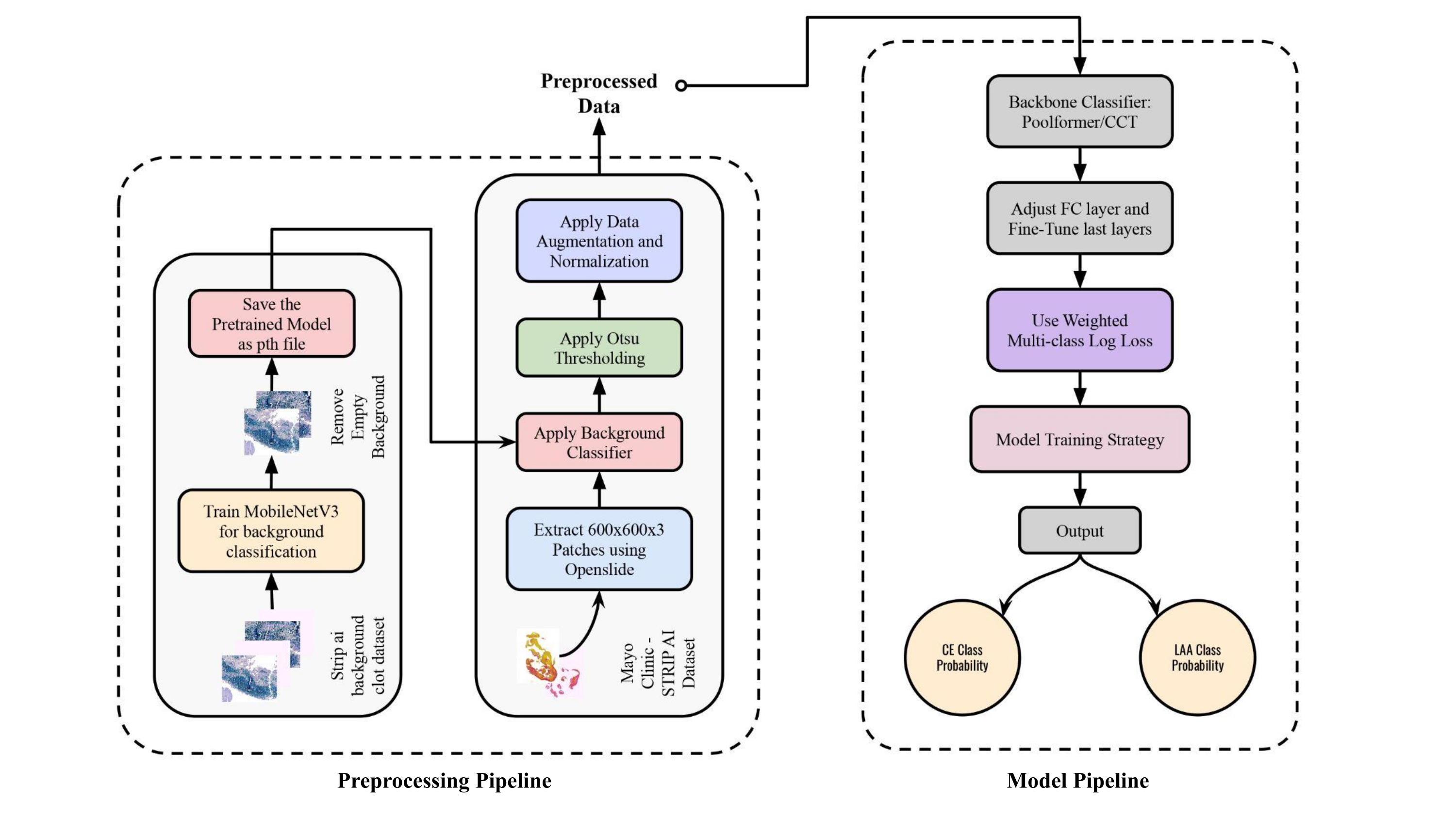 Mohamed Elsayed - Professional Portfolio